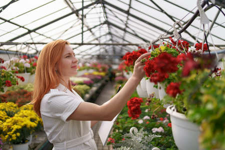 Smart greenhouse control. Female worker inspects red flowers and note data at daylight - Stock ...