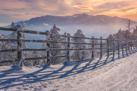 Scenic winter wonderland. Hiking path on top of mountain with fir trees ...