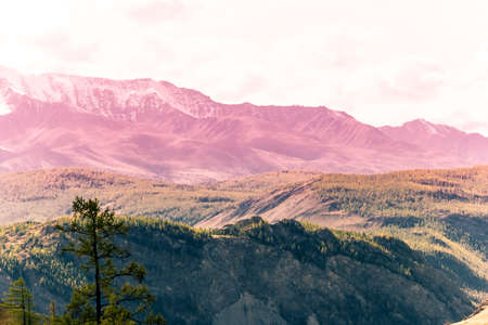 Colorful pink hills under the Sunny sky. Rocks and mountains of pastel ...