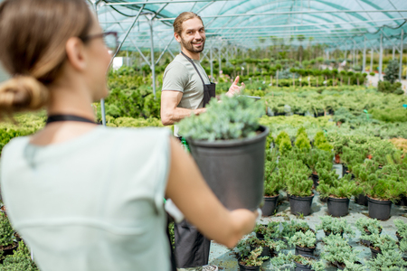 Couple of workers taking care of plants supervising the growth process ...