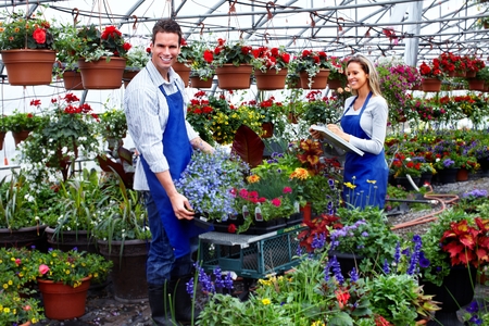 Florist working with flowers in greenhouse. - Stock Image - Everypixel
