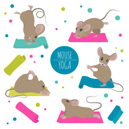 Vector of Mouse yoga poses and - ID:1-128503213 - Royalty Free Image ...