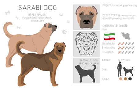 Sarabi dog, Iranian mastiff clipart. All coat colors set. All dog ...