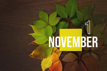 November 1st. Day 1 of month, Calendar date. Autumn leaves transition ...