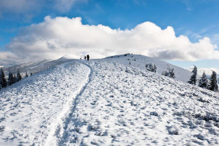 Group of hikers moving to the top in winter mountain. - Stock Image ...