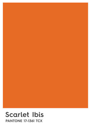 Scarlet Ibis - PANTONE 17-1361 TCX, F45520 vector illustration.:: موقع ...