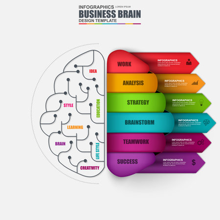 Vector of Infographic brain vector - ID:1-50330257 - Royalty Free Image ...