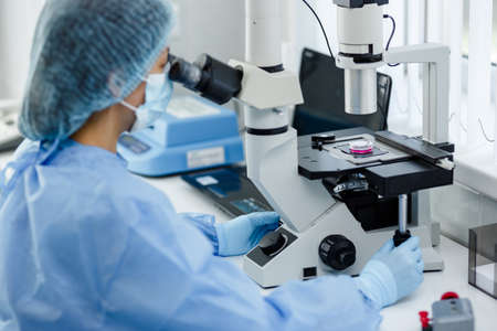 Light microscope. Examination of fixed poducts their influence on ...