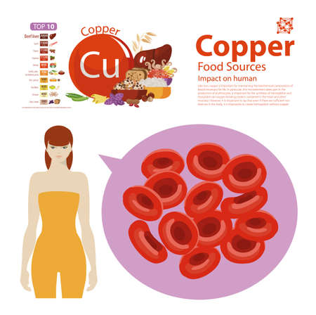 Infographics copper. Food sources. Foods with the maximum copper ...