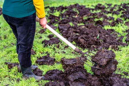 Farmer working on farm. Organic fertilizer for manuring soil, preparing ...