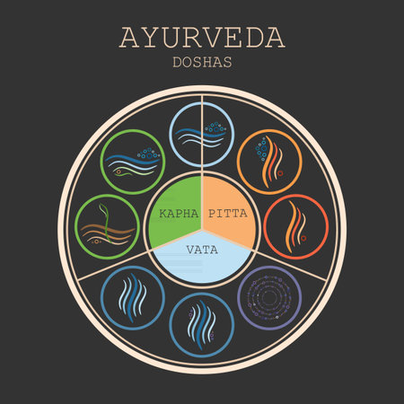 Vector of Ayurveda diagram vector - ID:1-108755897 - Royalty Free Image ...