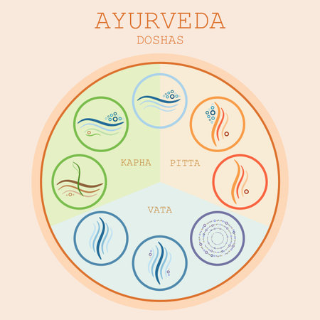 Vector of Ayurveda diagram vector - ID:1-108755919 - Royalty Free Image ...