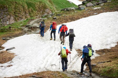 Back view of hikers with backpacks and trekking poles walking on snow ...