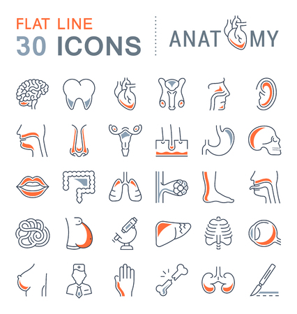 Vector of Set vector line icons, sign - ID:1-82054113 - Royalty Free ...