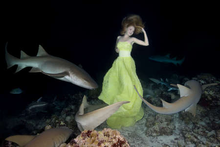 Night dance with sharks. Young beautiful woman in yellow dress dancing ...