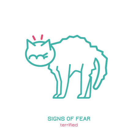 Photo of Cat fearful behavior signal. - ID:134761220 - Royalty Free ...