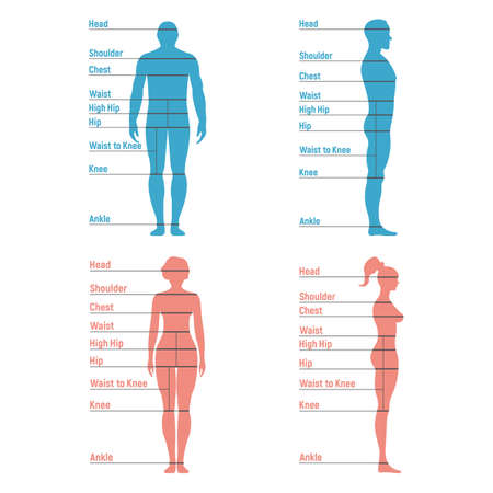 Vector of Male and female size chart - ID:1-152735249 - Royalty Free ...