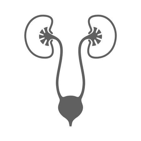 Vector of Sign urinary system. Icon - ID:1-122172781 - Royalty Free ...