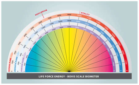Vector of Bovis Scale for measuring Life - ID:1-154898430 - Royalty ...