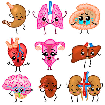 Vector of Cute organs. Happy human, Set - ID:1-124380617 - Royalty Free ...