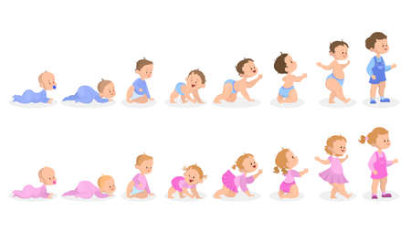 Vector of Baby growth process. From - ID:1-122515840 - Royalty Free ...
