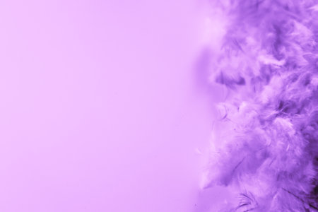 Beautiful abstract blue and purple feathers frame on darkness ...