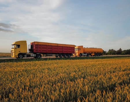 Modern bright trucks on road near wheat field - Stock Image - Everypixel