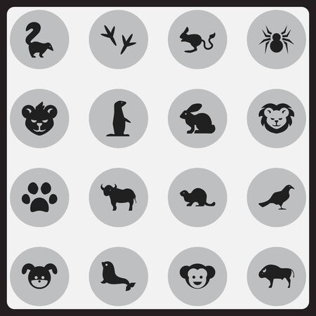 Set Of 16 Editable Zoology Icons. Includes Symbols Such As Bunny, Tiger ...