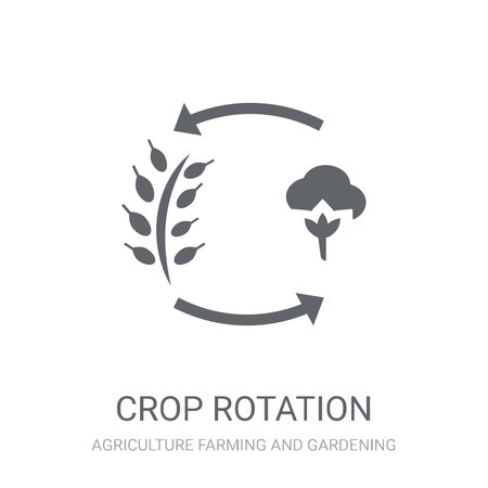 Vector of crop rotation icon. Trendy - ID:1-111988503 - Royalty Free ...