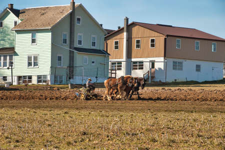 Amish Man Plowing Field With 4 Horses With Farm and Homestead in ...