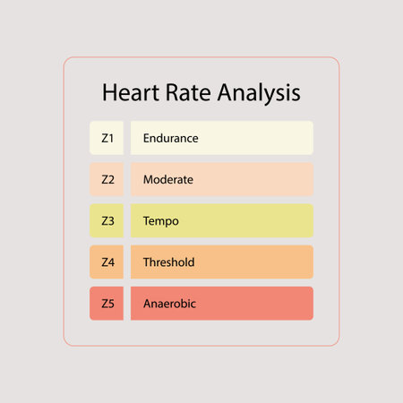 Vector of Heart rate zones vector - ID:1-191918699 - Royalty Free Image ...
