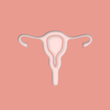 Vector of Uterus, fallopian tubes and - ID:1-104665366 - Royalty Free ...