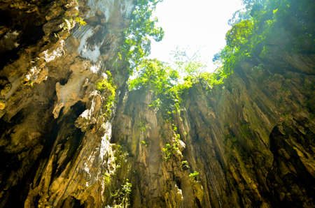 dene - Royalty Free Stock Photos and Images - Stocklib