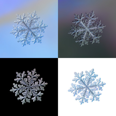 Set with four variants of same snowflake with different processing ...