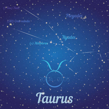 Vector of Zodiac constellation Taurus - - ID:52000969 - Royalty Free ...