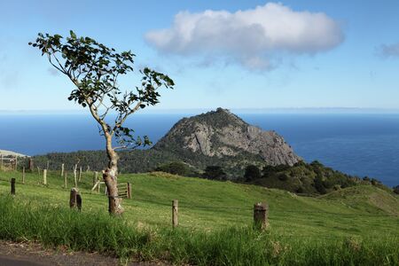 High Hill peak and lush countryside on St Helenaの写真素材 [40009683004 ...