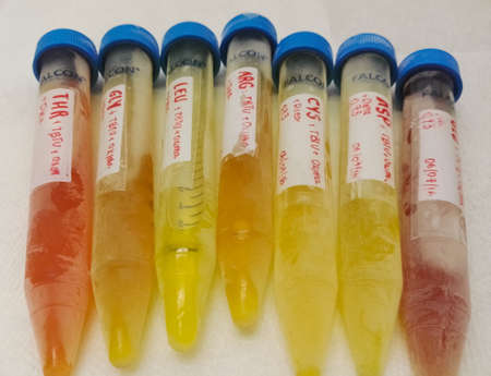 Falcon tubes Stock Images - Search Stock Images on Everypixel