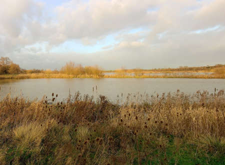 Stanwick lakes country park in northamptonshire midlands england uk.の写真 ...