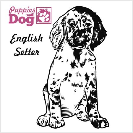 Vector of English Setter puppy sitting. - ID:1-142050321 - Royalty Free ...