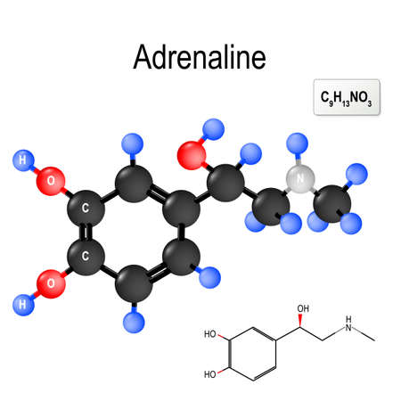 Photo of Adrenaline (epinephrine) is a - ID:101121969 - Royalty Free ...