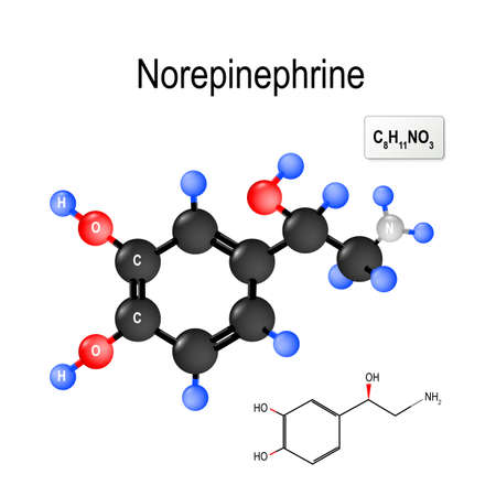Vector of Norepinephrine is an organic - ID:1-101116255 - Royalty Free ...