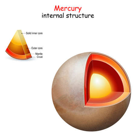 Vector of Mercury internal structure. - ID:1-155161621 - Royalty Free ...