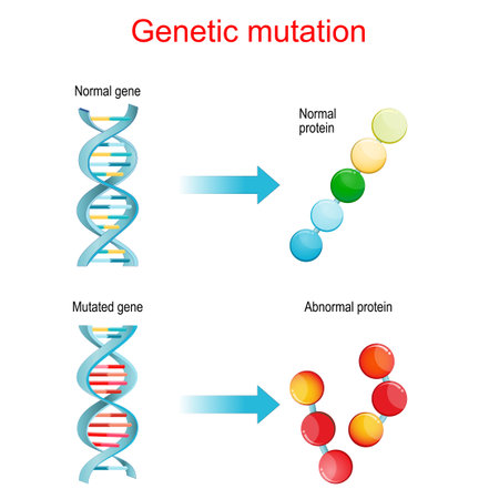Vector of genetic mutation. Normal and - ID:1-191763046 - Royalty Free ...