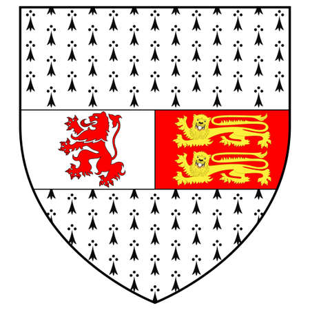 Vector of Flag of County Tyrone is one - ID:1-155050194 - Royalty Free ...