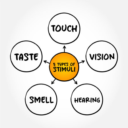 Vector of The 5 types of external - ID:1-198778228 - Royalty Free Image ...