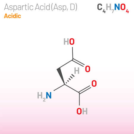 Vector of Aspartic Acid (Asp, D) amino - ID:1-180486304 - Royalty Free ...