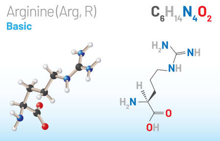 Vector of Arginine (Arg, R) amino acid - ID:180486337 - Royalty Free ...