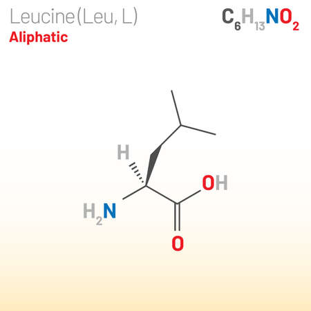 Vector of Leucine (Leu, L) amino acid - ID:1-180486360 - Royalty Free ...