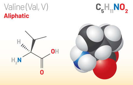 Vector of Valine (Val, L) amino acid - ID:1-180486433 - Royalty Free ...