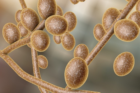 Photo of Microscopic illustration of - ID:1-49245970 - Royalty Free ...